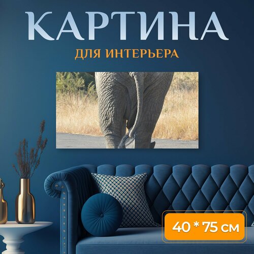 Картина на холсте "Слон, дикие, африка" на подрамнике 75х40 см. для интерьера