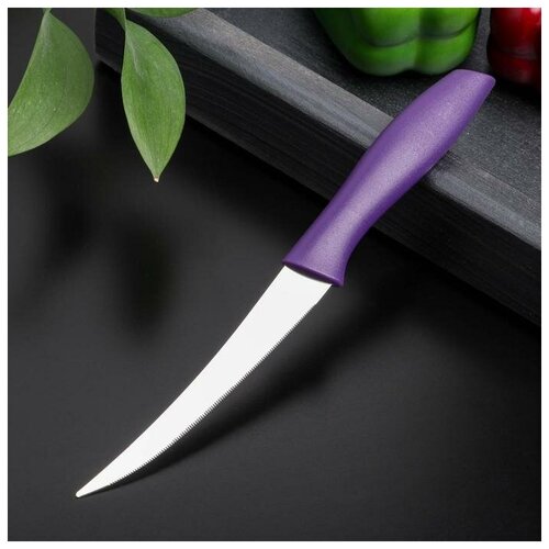 Нож кухонный для цитрусовых «Ария», лезвие 12 см, цвет микс