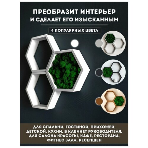 Полки соты со мхом, полка настенная, панно настенное, декор для дома, декор для интерьера