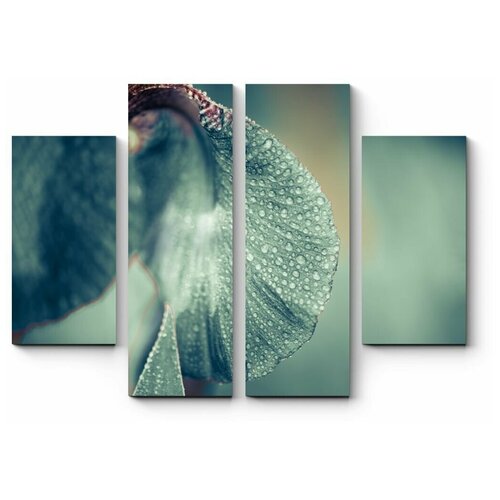 Модульная картина Капли дождя на ирисе 90x68