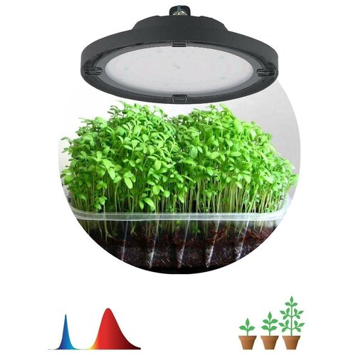 Прожектор светодиодный для растений ЭРА 50W 1310K Fito-50W-RB-Led-Ufo Б0053280