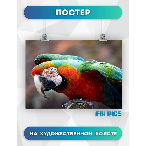 Постер на холсте Попугай (34) 30х40 см