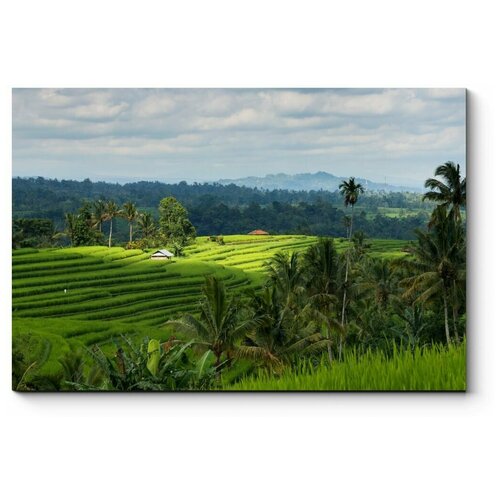 Модульная картина Бали, рисовые поля 40x27