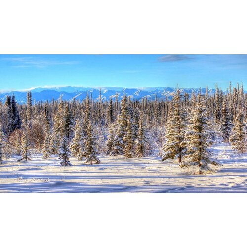 Картина на холсте 60x110 LinxOne "Снег аляска зима природа деревья" интерьерная для дома / на стену / на кухню / с подрамником