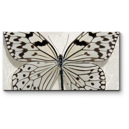 Модульная картина Черно-белая бабочка 60x30