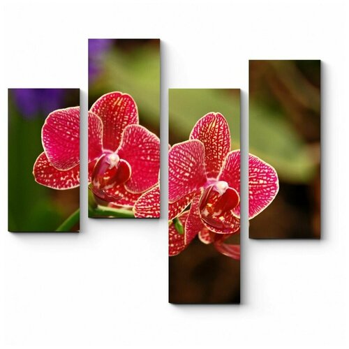 Модульная картина Невероятно красивая тропическая орхидея 84x79