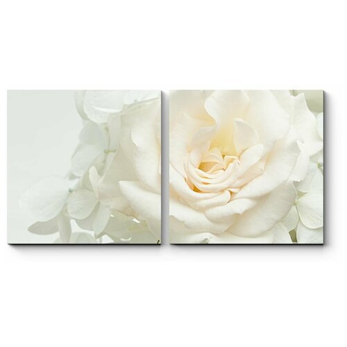 Модульная картина Белоснежная роза 110x55