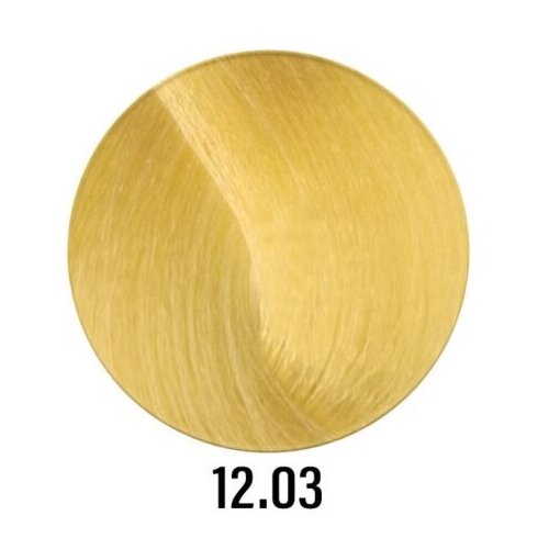 PUNTI DI VISTA Nuance Краска для волос с церамидами 12.03 платиновый блонд натуральный интенсино- золотистый, 100 мл