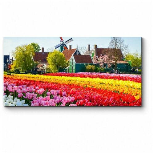 Модульная картина Тюльпановое поле, Амстердам 70x35
