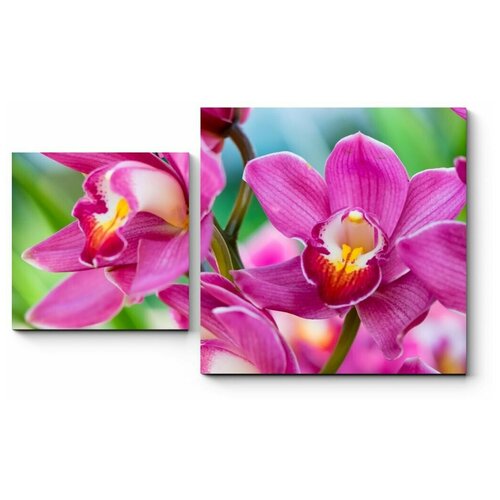 Модульная картина Тайские орхидеи, Чиангмай (Таиланд) 170x102