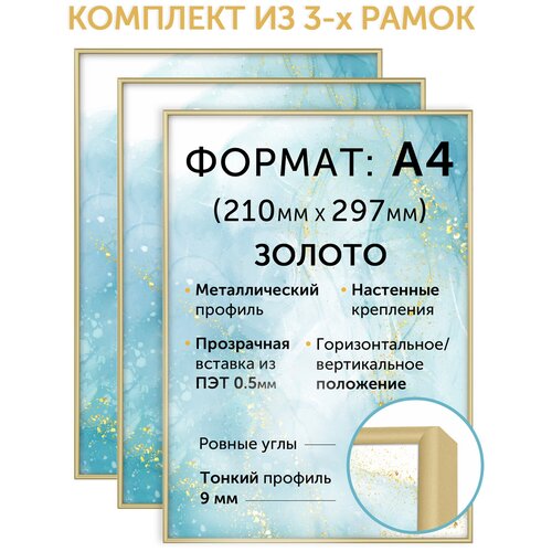 Комплект металлических рамок 21х30 (А4), 3 шт; Нельсон; цвет золотой матовый