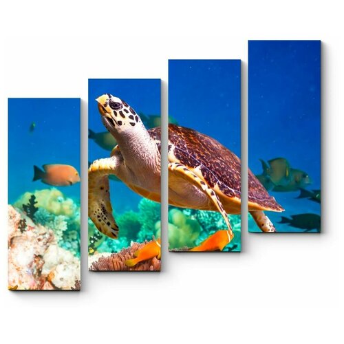 Модульная картина Черепаха в коралловом рифе160x138