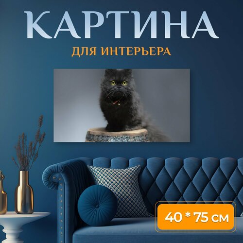 Картина на холсте "Кошка, чернить, глаз" на подрамнике 75х40 см. для интерьера