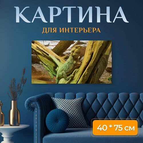 Картина на холсте "Бородатая агама, ящерица, террариум" на подрамнике 75х40 см. для интерьера