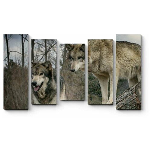 Модульная картина Волки в осеннем лесу 190x114