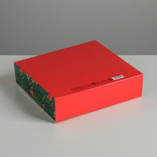 Складная коробка подарочная «С новым годом», 20 × 18 × 5 см, без ленты