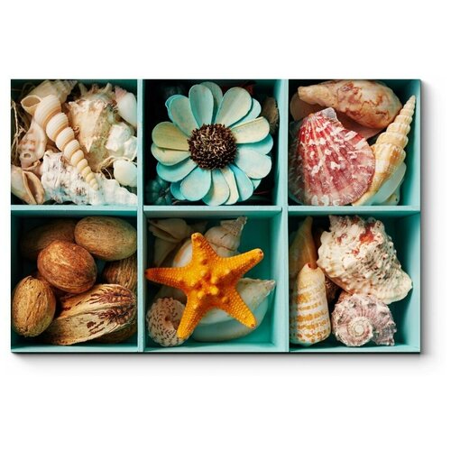 Модульная картина Коробочка с морскими сокровищами 50x33