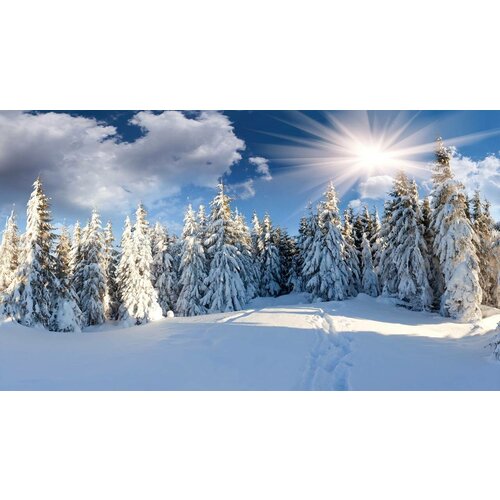 Картина на холсте 60x110 LinxOne "Лес зима снег ёлки облака" интерьерная для дома / на стену / на кухню / с подрамником