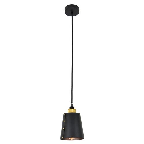 Потолочный светильник Lussole Shirley LSP-9861, E27, 60 Вт, кол-во ламп: 1 шт., цвет: черный