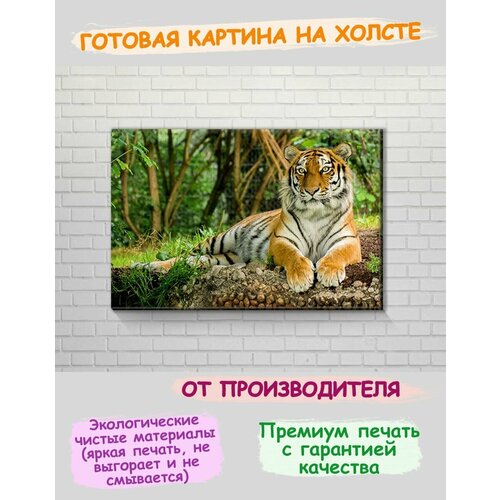 3D картина на холсте с подрамником на стену амурский тигр постер