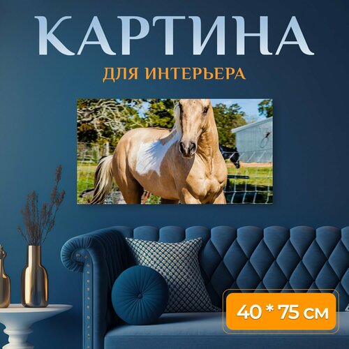 Картина на холсте "Лошадь, поездка, животное" на подрамнике 75х40 см. для интерьера