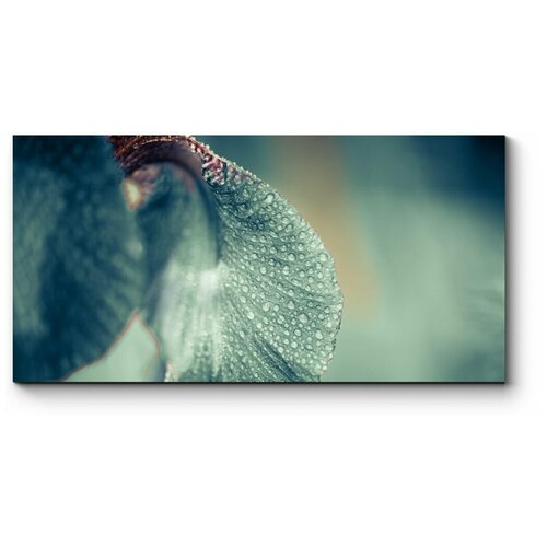 Модульная картина Капли дождя на ирисе 170x85