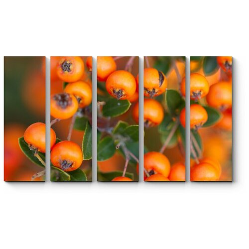 Модульная картина Спелые ягоды рябины 110x66