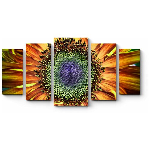 Модульная картина Внутри цветка солнца 160x88