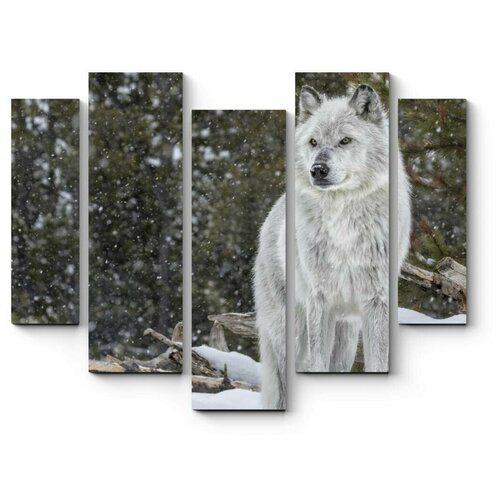 Модульная картина Серый волк 151x123