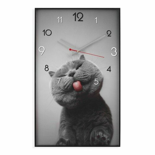 TIMEBOX Часы-картина настенные, интерьерные "Котик", плавный ход, 57 х 35 см