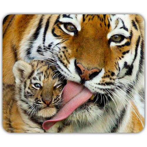 Коврик для мыши "Тигрица с тигрёнком" (24 x 20 см x 3 мм)