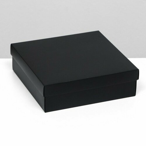 UPAK LAND Коробка складная, крышка-дно, чёрная, 20 х 20 х 6 см