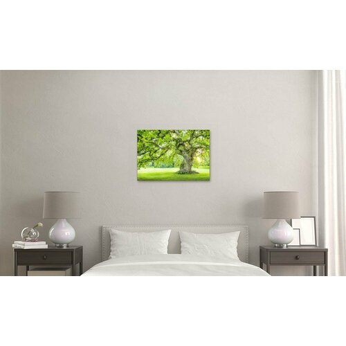 Картина на холсте | Diva Kartina | Природа. Зеленое дерево | 60X42 см | Интерьерный постер