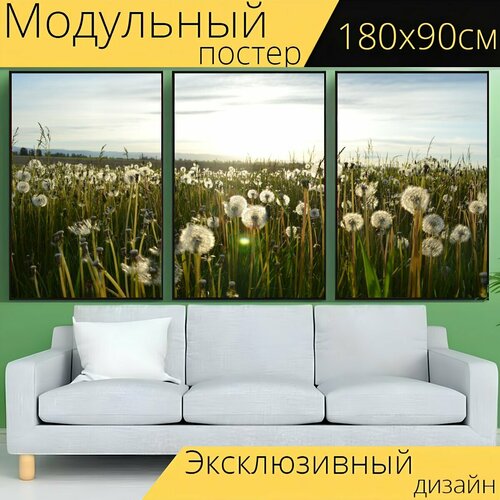 Модульный постер "Одуванчик, поле, летом" 180 x 90 см. для интерьера