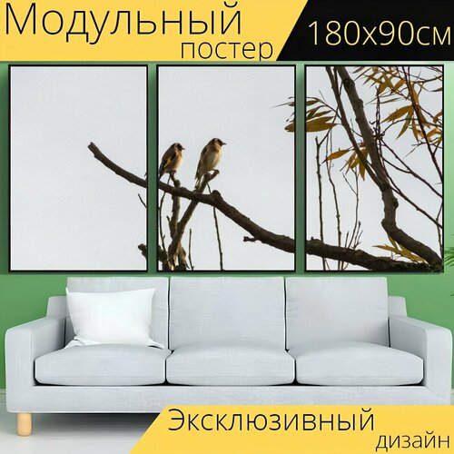 Модульный постер "Птица, птицы, певчая птица" 180 x 90 см. для интерьера