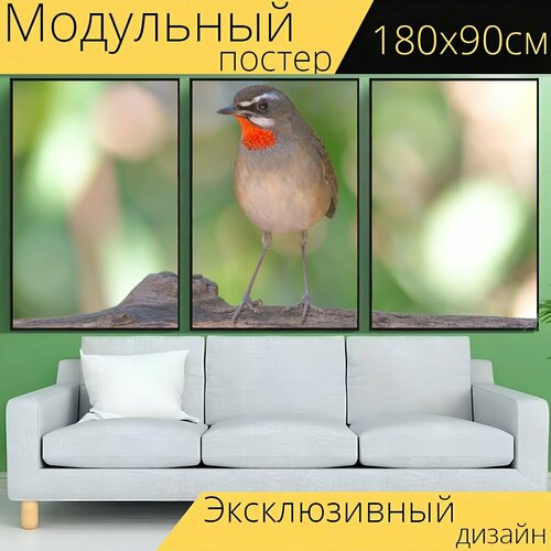 Модульный постер "Глубокий рубиновый, природа, птица" 180 x 90 см. для интерьера