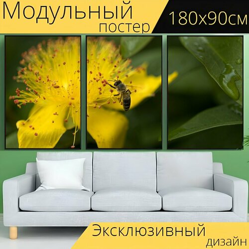 Модульный постер "Пчела, цветок, цвести" 180 x 90 см. для интерьера