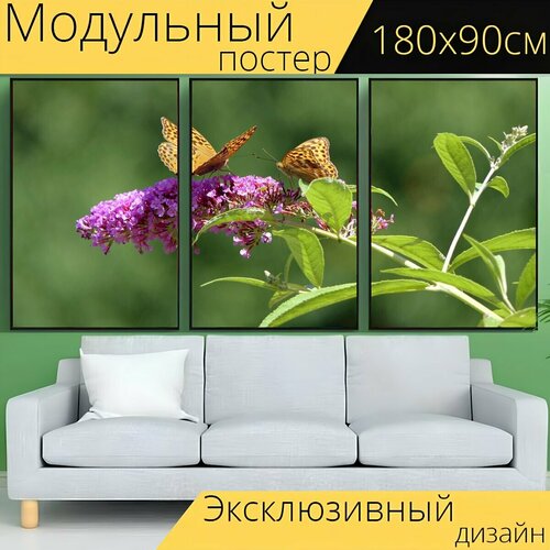 Модульный постер "Бабочки, цвести, закрывать" 180 x 90 см. для интерьера