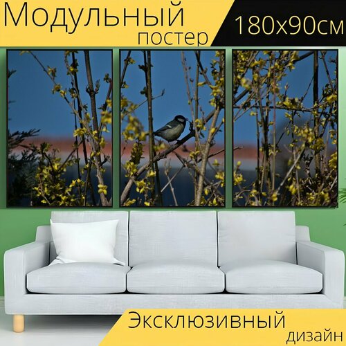 Модульный постер "Лазоревка, птица, животное" 180 x 90 см. для интерьера