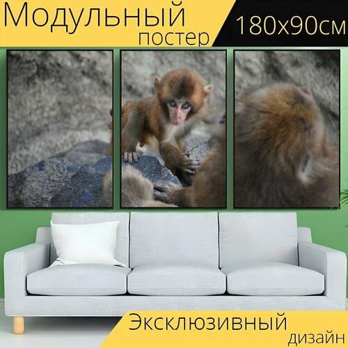 Модульный постер "Животное, парк, обезьяна" 180 x 90 см. для интерьера
