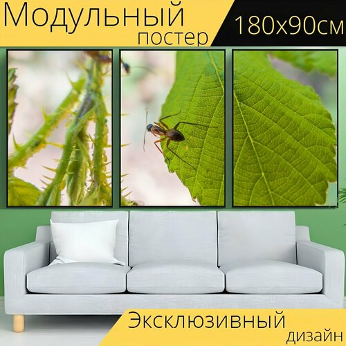 Модульный постер "Насекомое, жук, насекомое" 180 x 90 см. для интерьера