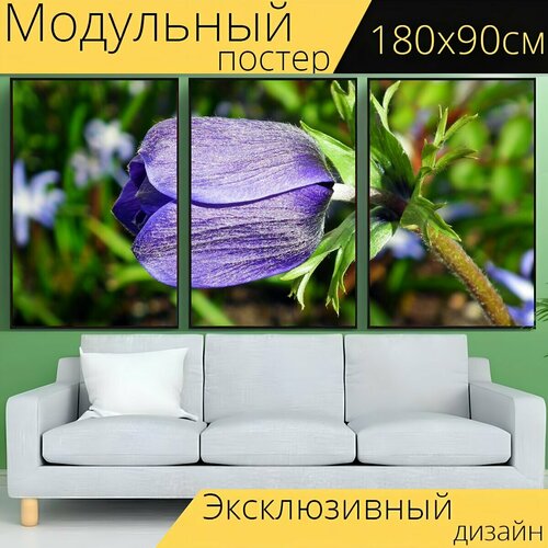 Модульный постер "Анемон, цветок, синий" 180 x 90 см. для интерьера
