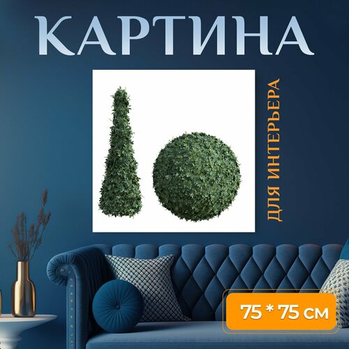 Картина на холсте "Топиари, куст, высокий" на подрамнике 75х75 см. для интерьера