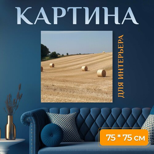 Картина на холсте "Летом, уборка урожая, кукурузное поле" на подрамнике 75х75 см. для интерьера