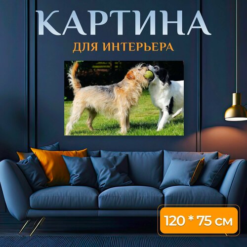 Картина на холсте "Собаки, играть, сад" на подрамнике 120х75 см. для интерьера