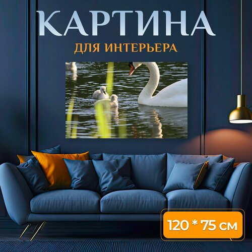 Картина на холсте "Лебеди, лебедь с юнлингами, дикая природа" на подрамнике 120х75 см. для интерьера