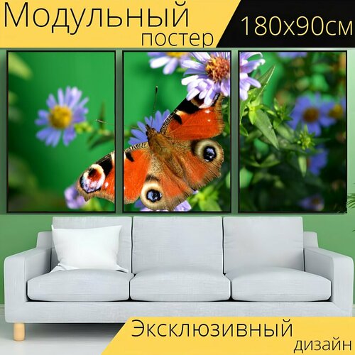 Модульный постер "Бабочка, павлинья бабочка, природа" 180 x 90 см. для интерьера
