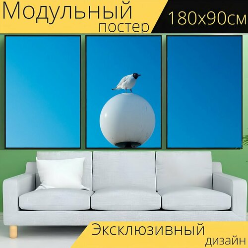 Модульный постер "Чайка, озёрная чайка, птица" 180 x 90 см. для интерьера