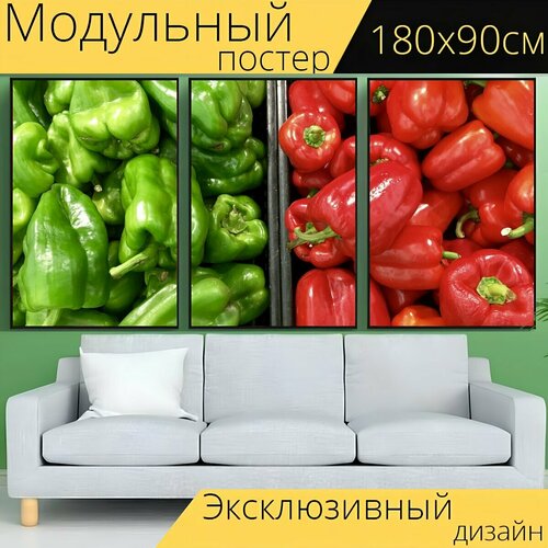 Модульный постер "Сельское хозяйство, сладкий перец, стручковый перец" 180 x 90 см. для интерьера