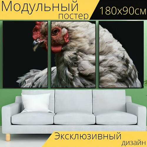 Модульный постер "Курица, домашняя птица, клюв" 180 x 90 см. для интерьера